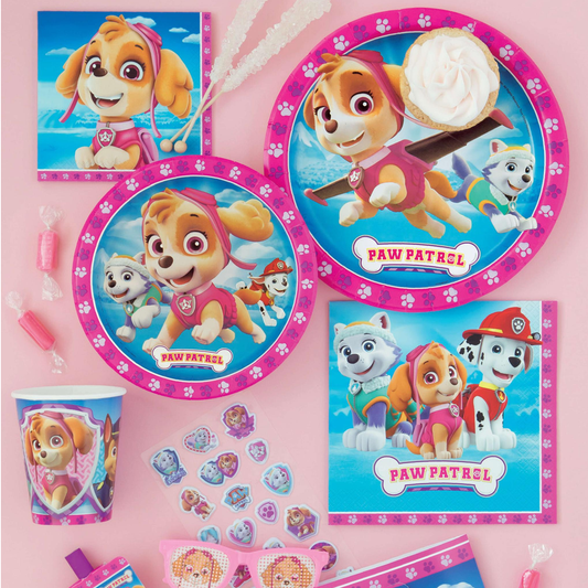 Paw Patrol Skye Birthday Party Supplies – BestParty.Co